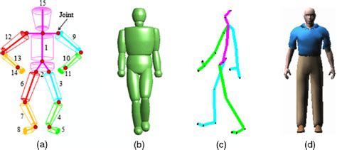 The 3 D Human Models Of Four Kinds Of Human Motion Datasets A Download Scientific Diagram