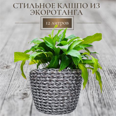 Кашпо из ротанга, горшок для цветов, 12 литров - купить с доставкой по ...