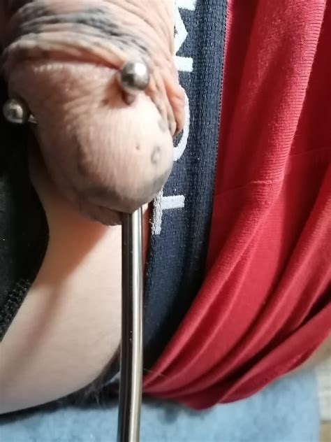 Sounding Urethra Pics Xhamster