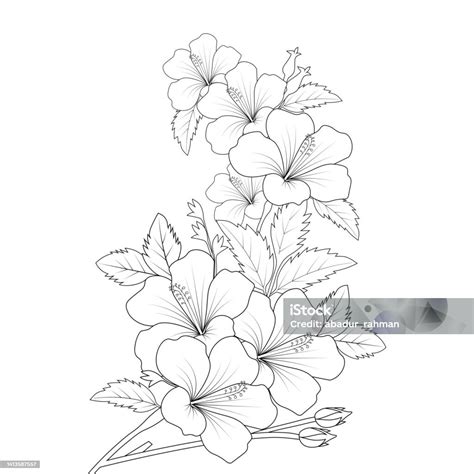 샤론 꽃 낙서 라인 아트 벡터 그래픽 디자인의 책 페이지 장미 꽃 식물에 대한 스톡 벡터 아트 및 기타 이미지 꽃 식물