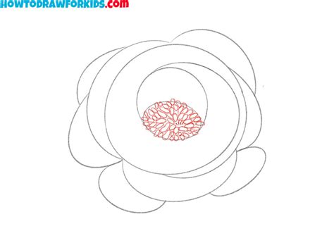Simple Peony Drawing