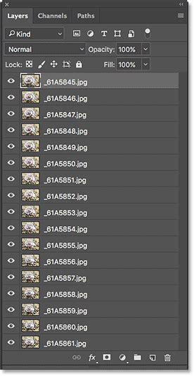 How To Focus Stack Images In Photoshop