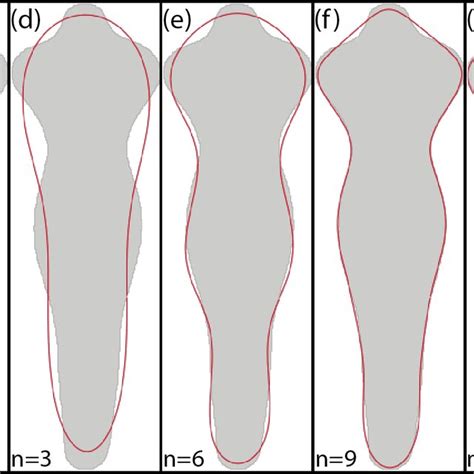 Example Of Efd Contour Reconstruction With Different Order Descriptors Download Scientific