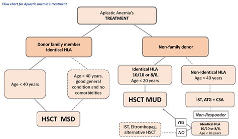 What Does Aplastic Anemia Mean At Robert Reis Blog