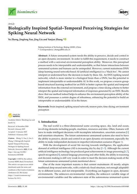 Pdf Biologically Inspired Spatialtemporal Perceiving Strategies For Spiking Neural Network