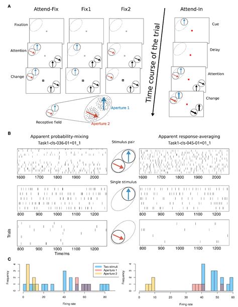 Figure 1 From Neurons In Primate Visual Cortex Alternate Between Responses To Multiple Stimuli