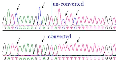 Result Of Bisulfite Sequencing Download Scientific Diagram
