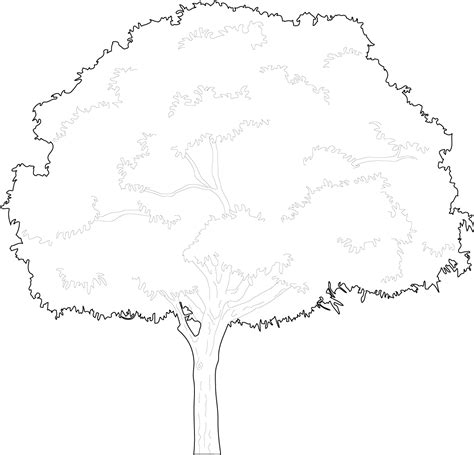 Trees Dwg Cad Blocks Free Download Pimpmydrawing