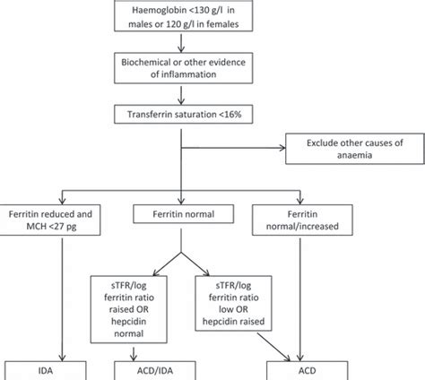 Anemia Of Chronic Disease Algorithm