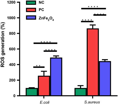 Reactive Oxygen Species ROS Assay Intracellular ROS Production After