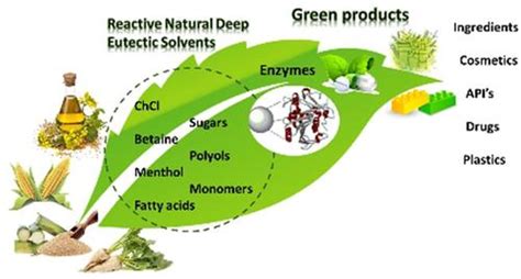 活性天然低共熔溶剂在可持续生物催化中的作用chemcatchem X Mol