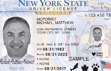 Enhancing Access To Driver Licensing Program Benefits Explained ⇢