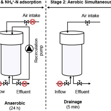 Schematic Diagram Of The Reactor Operation Including Anaerobic Phase Download Scientific