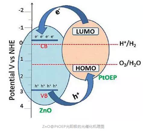 齐岳定制 八乙基卟啉铂POEP敏化的ZnOZnO PtOEP反蛋白石结构的光子晶体 哔哩哔哩