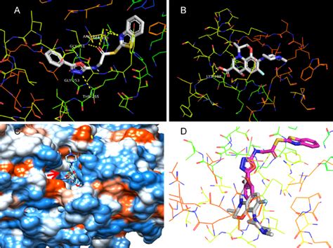 Binding Mode Of Ligand 2i And Levofloxacin With 1os1 A Docked Download Scientific Diagram