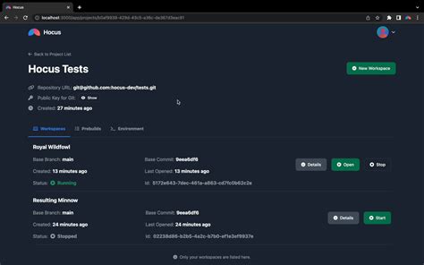 Whats Hocus Hocus Docs