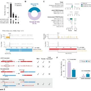 Sex Differences In Frequency Of X Autosomal Translocations Underlies Download Scientific
