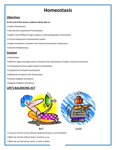 Homeostasis Notes Human Anatomy And Physiology Lecture Notes Anatomy Docsity