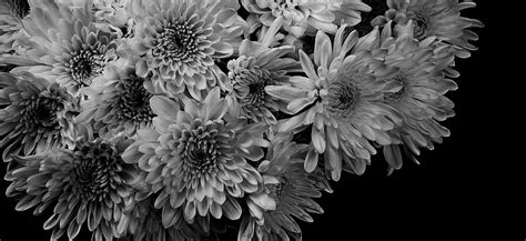Grieving While Redrawing Your Brain S Neural Map Neuroscience S