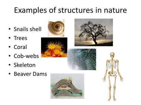 Ppt Structures Powerpoint Presentation Free Download Id 2334443