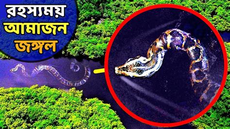 আমাজন জঙ্গল যেসব রহস্যের জন্ম দিয়েছে Strange Unknown Facts About Amazon Rain Forest Youtube