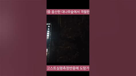 산책중 음산한 대나무숲에서 여자심령고스트측정기의 반응에 도망가는 허준 Youtube