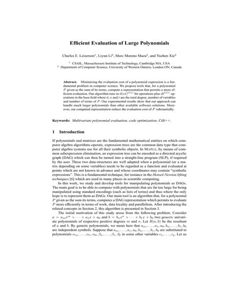 Efficient Evaluation Of Large Polynomials