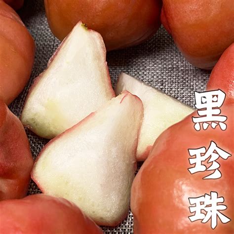 【超多水】黑珍珠蓮霧 黑珍珠 蓮霧 脆甜多汁 果肉紮實 密度高 水果 台灣水果 屏東 『椰林水果鋪』 蝦皮購物