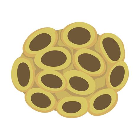 Yellow Seaweed Sealife 11378971 Vector Art At Vecteezy