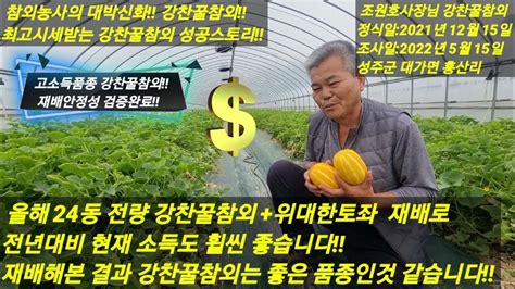 참외농사의 대박신화 강찬꿀참외 최고시세받는 강찬꿀참외 성공스토리 성주참외품종의 세대교체 강찬꿀참외 인터뷰성주군 대가면 조원호사장님참외강찬꿀참외위대한