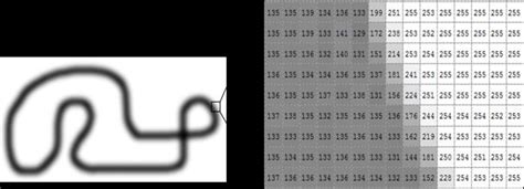 Example Of A Gray Scale Image Some Details Are Highlighted Download Scientific Diagram