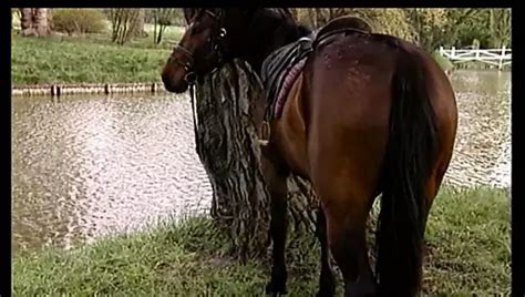 Backey Jakic Porn Videos Porn Star Sex Scenes Xhamster