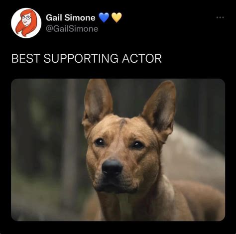 Best R Predator Images On Pholder Predators Is A Masterpiece