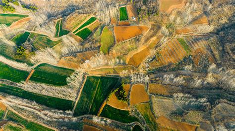 Красиви пролетни пейзажи от селата в провинция Анхуей