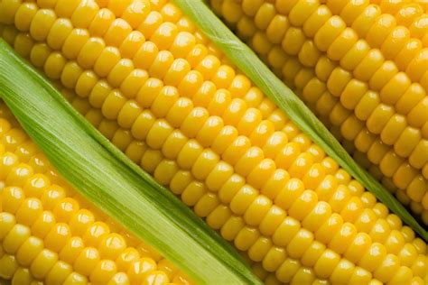 Health Benefits Of Sweet Corn