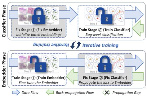 Ieee Tmi Iteratively Coupled Multiple Instance Learning For Near End