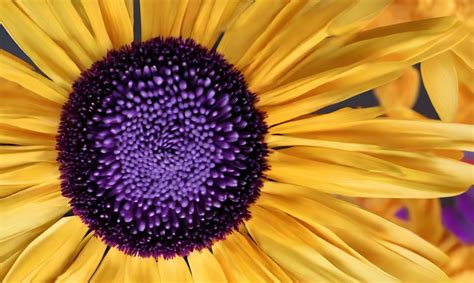 Large Language Models And Chatbots A Journey From Complex To Simple