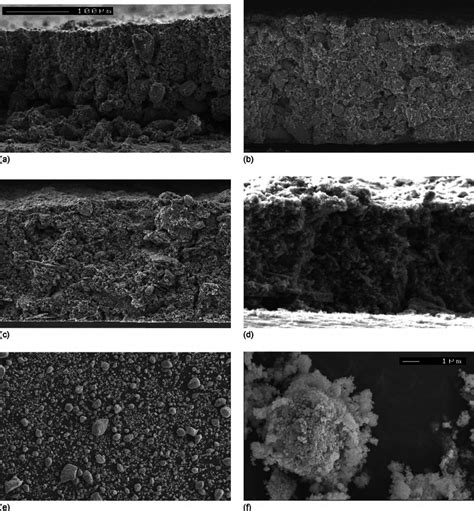 Sem Pictures Of The Cross Section Of ͑ A ͒ The Hpmc ͑ 25°c ͒ ͑ B ͒ Download Scientific