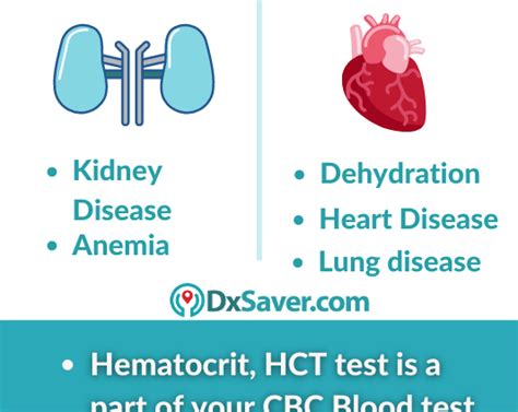 Hematocrit Hct Test Standard What Does Low Level Mean Healthy Food Near Me