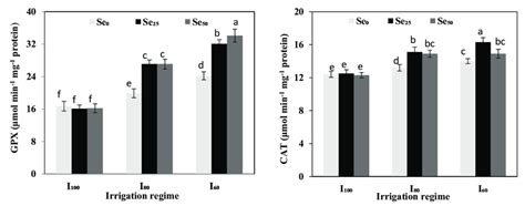 Interactive Effect Of Foliar Supplementation Of Selenium Se And Download Scientific Diagram