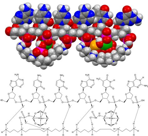 molecular modeling [acd chem sketch version 2022 1 0 with integrated
