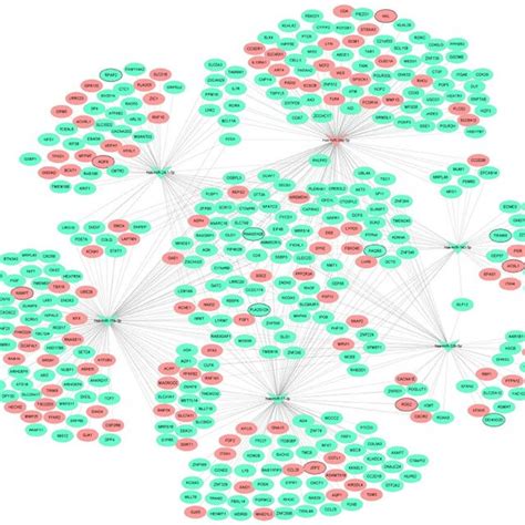 Regulatory Subnetworks Of Mirnas Mrnas Between Hsa Mir 142 3p Download Scientific Diagram