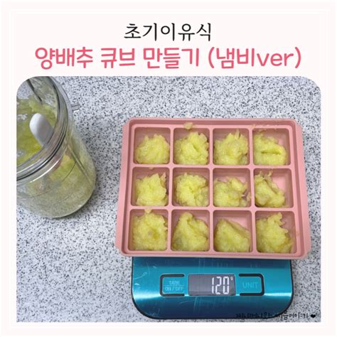 토핑 초기이유식 양배추큐브 만들기 네이버 블로그