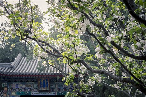 北京颐和园风光高清图片下载 正版图片500983109 摄图网