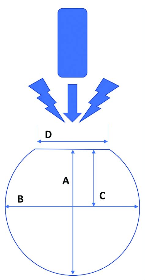 Schema Of Measuring The Dimensions Of Lesions Formed After Download Scientific Diagram