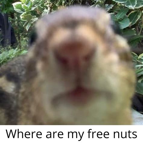 Its Driving Me Nuts Memes