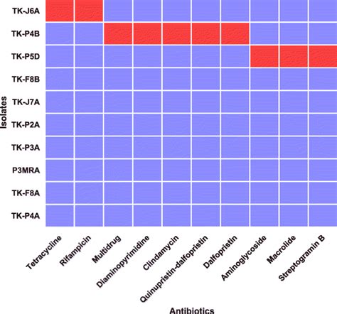 Heatmap Showing The Amr Genes In All Isolates Red Color Indicates The Download Scientific