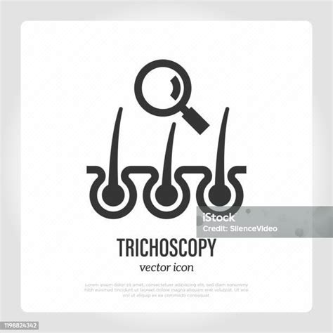 삼과 경 검사 모발과 두피 질환의 의료 진단 돋보기와 머리 여포 가는 선 아이콘입니다 벡터 그림입니다 머리가 빠지다에 대한 스톡 벡터 아트 및 기타 이미지 Istock
