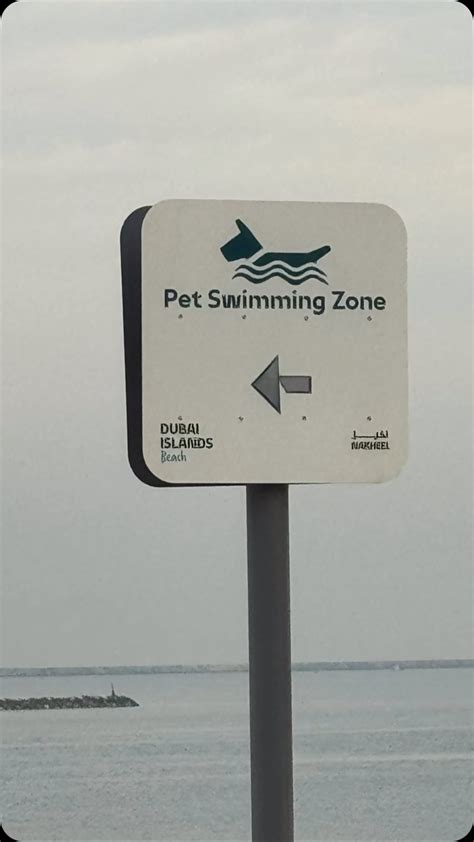 Жизнь в стиле Фэн Шуй 🐢 Вот такая чудесная встреча у меня произошла на вчерашней утренней