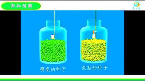 7sw17绿色植物呼吸作用过程 高清1080P在线观看平台 腾讯视频